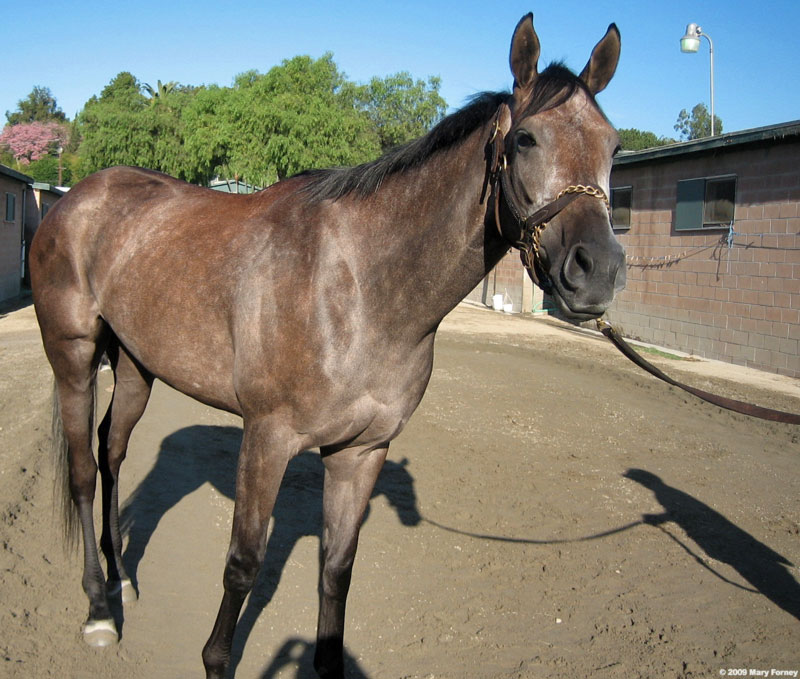 Mary Forney's Blog: February 2009