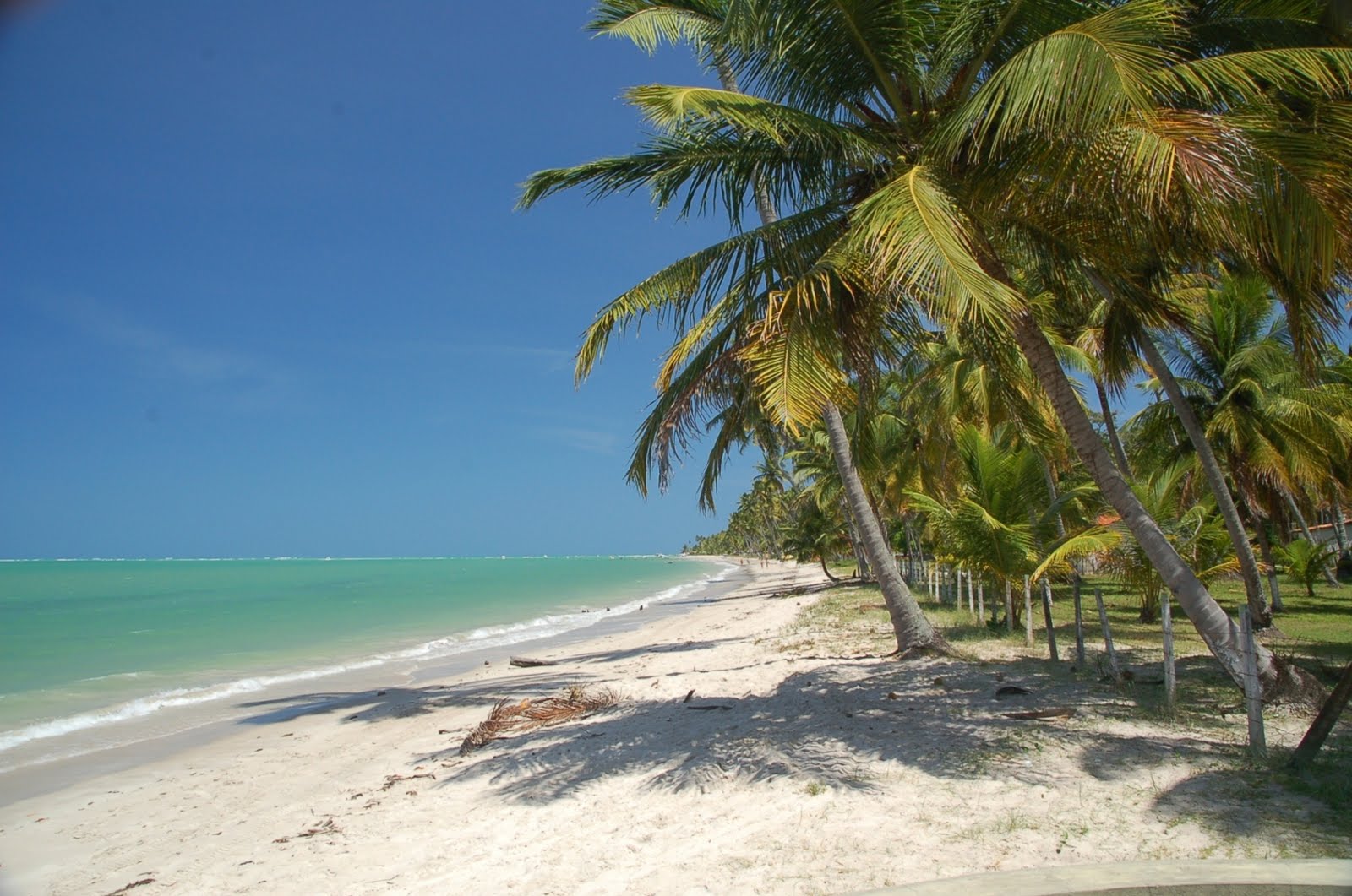 BLOG DO TOWER: HOJE, 6ª FEIRA, TEM O ÚLTIMO SUPER TURBO DESTA COPA ...