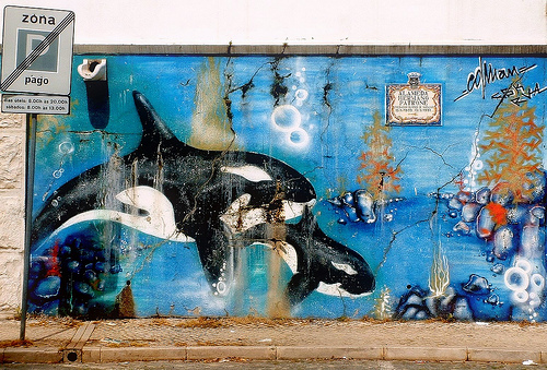 Graffiti: Fish graffiti