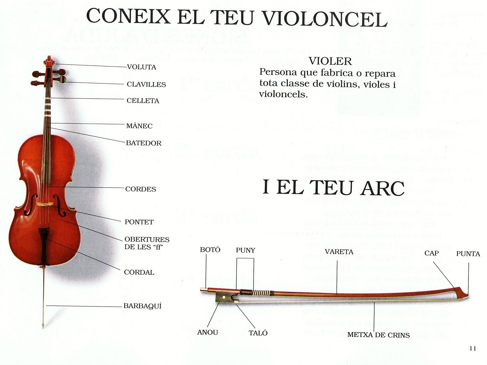 El violoncelo: Partes del instrumento
