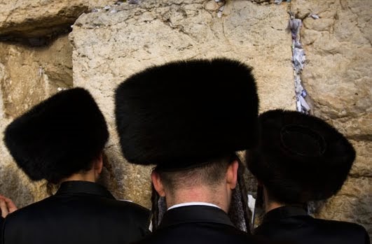 Joshua's Israel Blog: The Haredim: aka the "Ultra-Orthodox"
