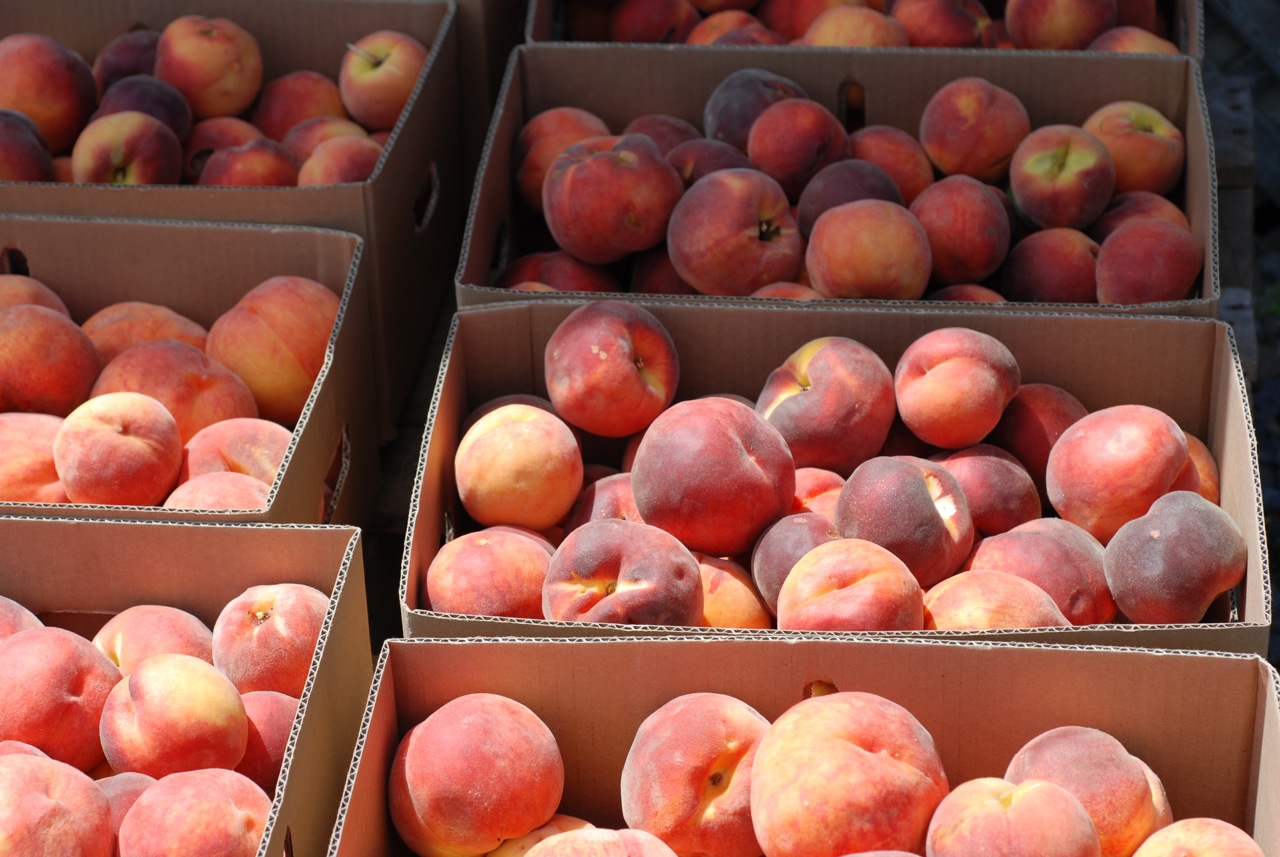 Know Whey: Peach Week: Peach Jam