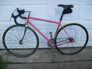 Curb Destroyer Chronicles: The Pink & Green Fixie