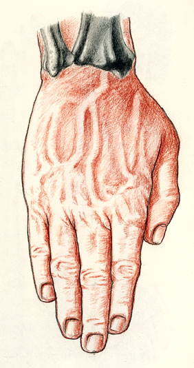 Rich Adams Fine Art: Another hand in colored pencil