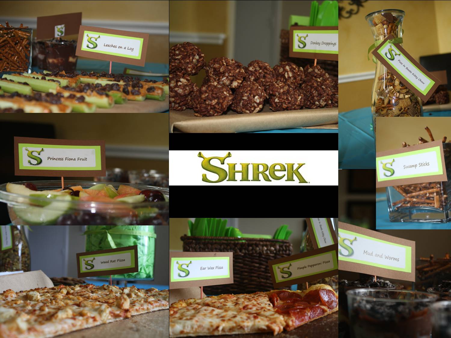 Acord Family: A Shrek-tacular birthday!