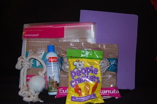 Neesa's Last Litter: Puppy Packet and Information