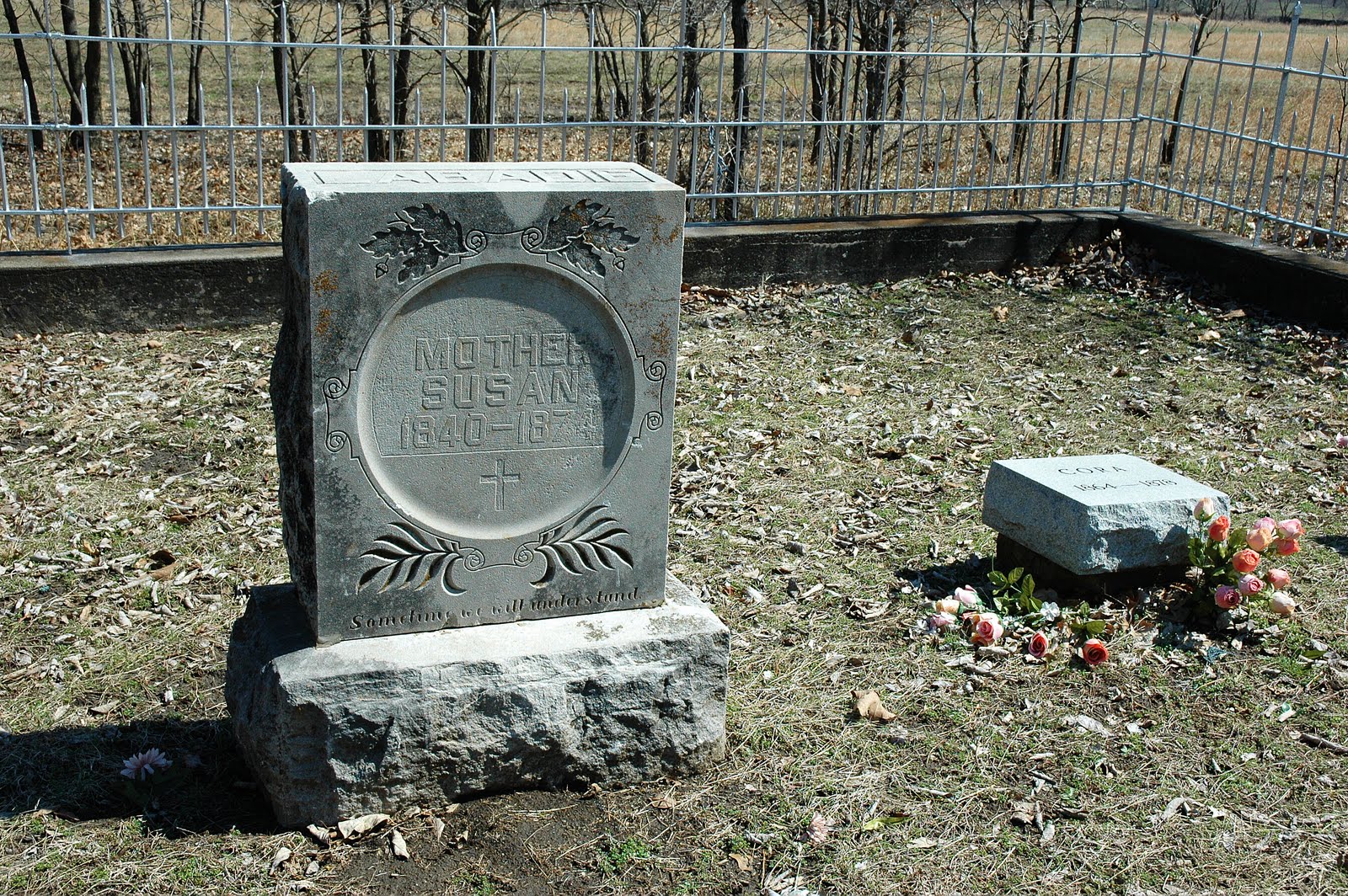 The Wildwood: A INFAMOUS PAST AND PRESENT