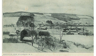 Birds Eye View - Lindley NY