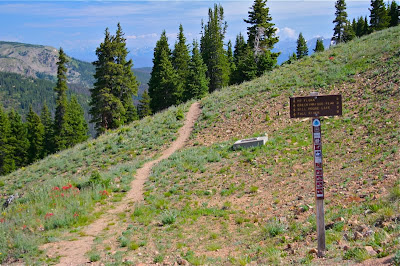 Colorado Lifestyle: Mt. Flora