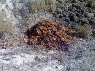 Vinos Ambiz: Recycling grape skins, pips and stems; Bits and pieces in ...