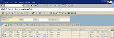 SAP e-mory: SAP Batch input session SM35