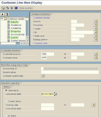 SAP e-mory: SAP FBL5N Customer line item display