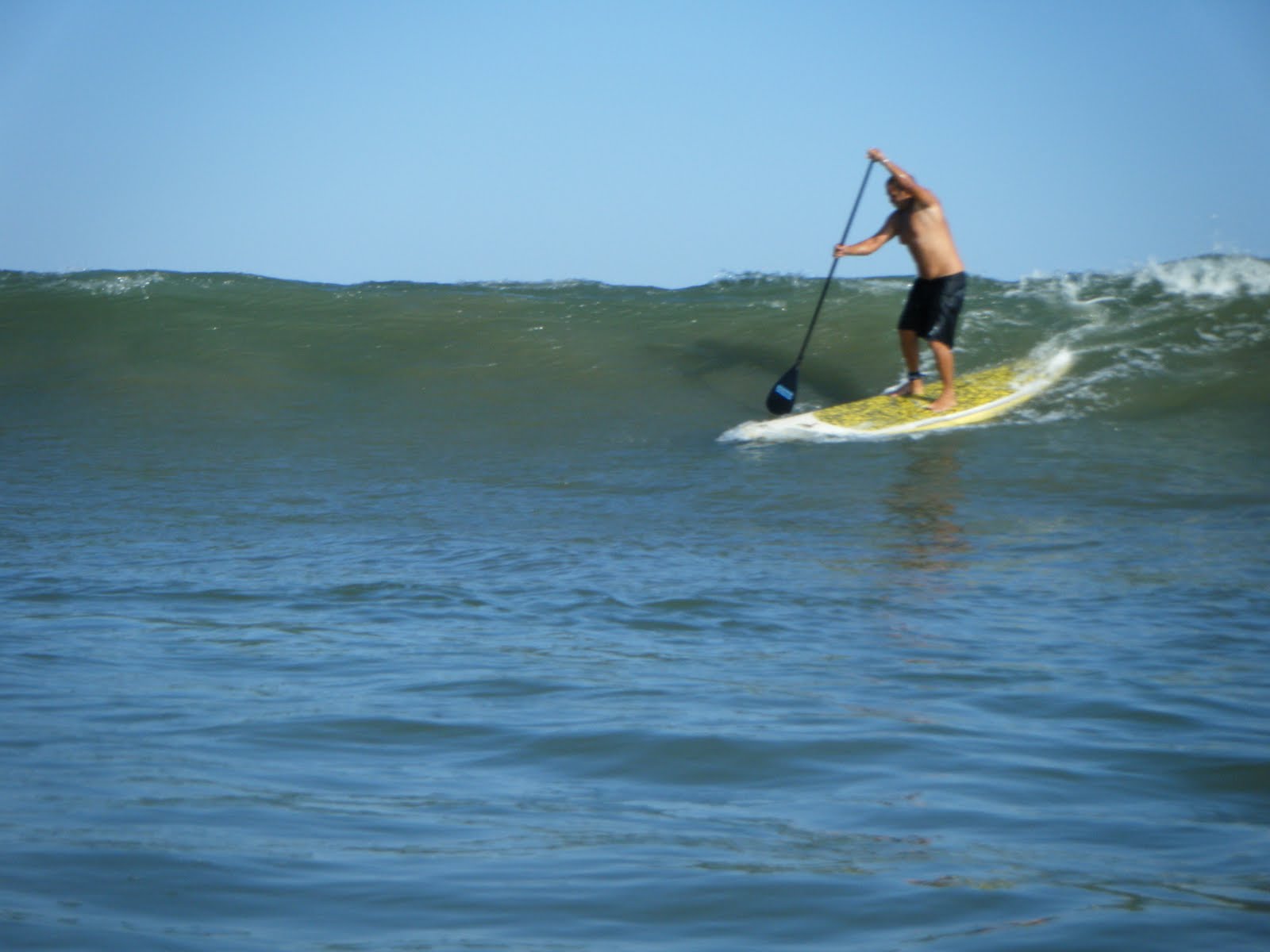 Atlantic Paddle Surfing: Today at Singleton Beach Igor waves