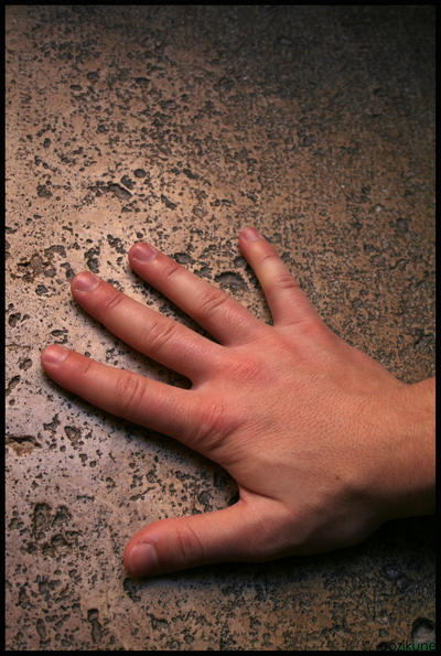 Biologia Humana.: EL TACTO