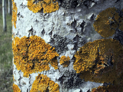 Heräkkeitä - kuultua, kuvattua, sanottua...