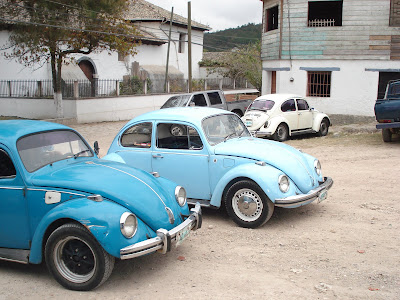 Cucaratrachas VW Club de Honduras: 2008
