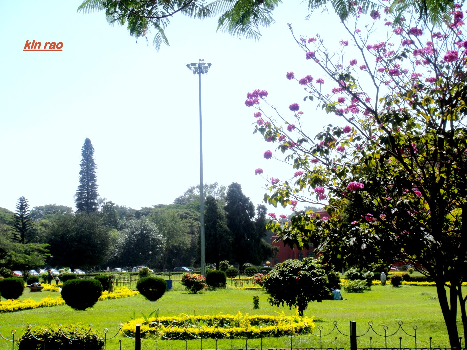 Clicks by Kln Rao and me: Cubbon Park Bangalore India