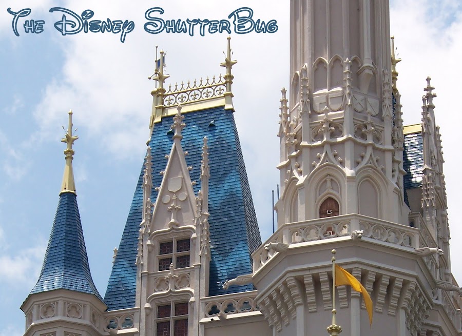 The Disney Shutterbug: The Rainforest Cafe Safari Club