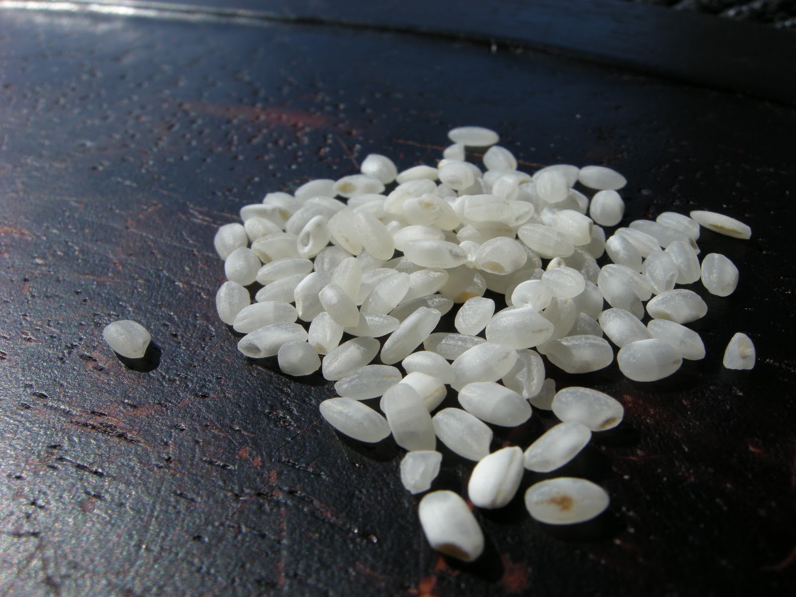 Come, oye, disfruta: Hablemos del Arroz: grano largo y grano redondo