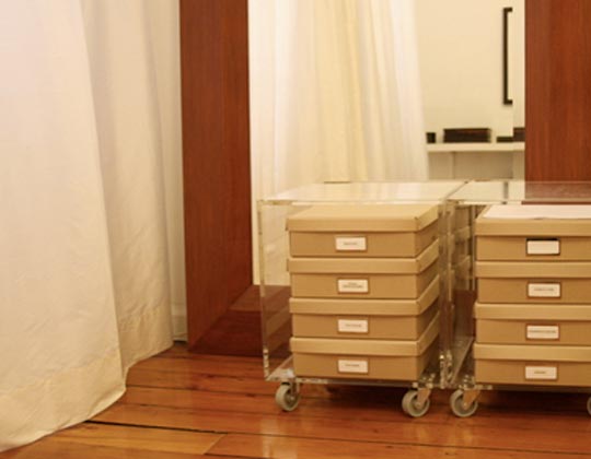 What Clutterbug are you? Your Organizing Style- Cricket - Clutterbug