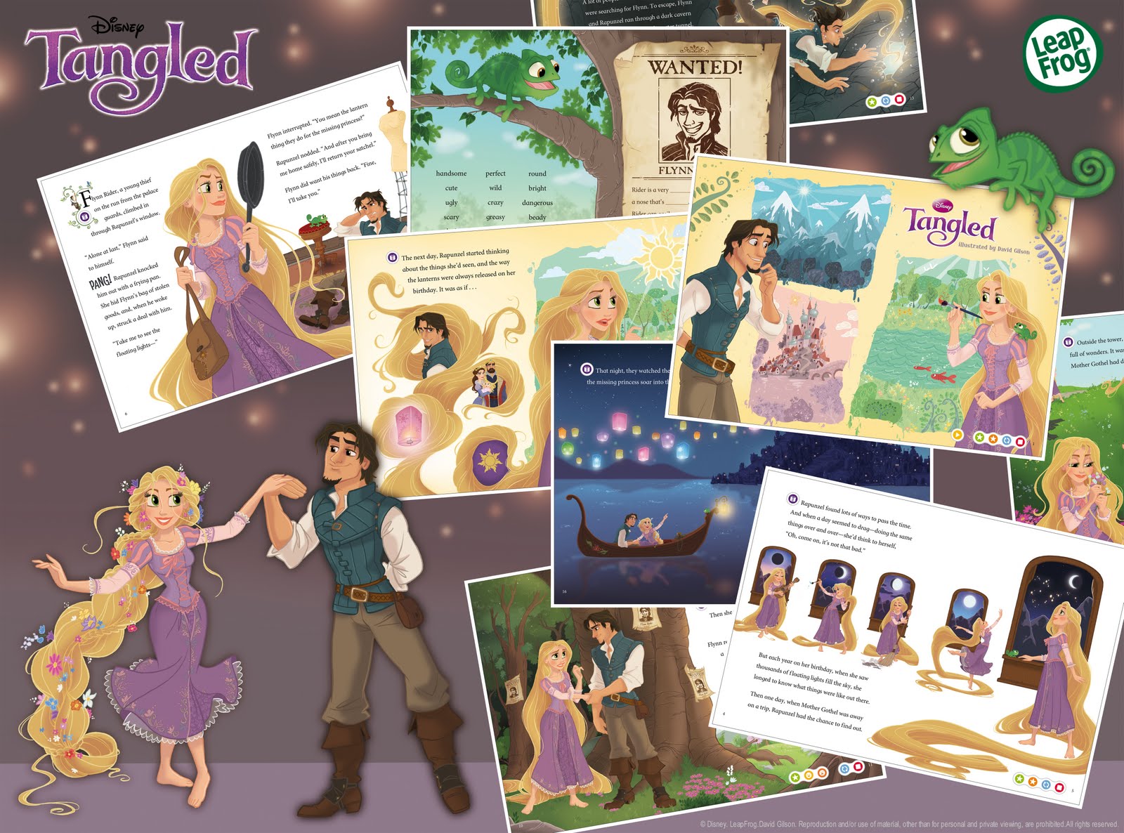 David Gilson: My Disney's Tangled Books / Mes Livres sur Raiponce