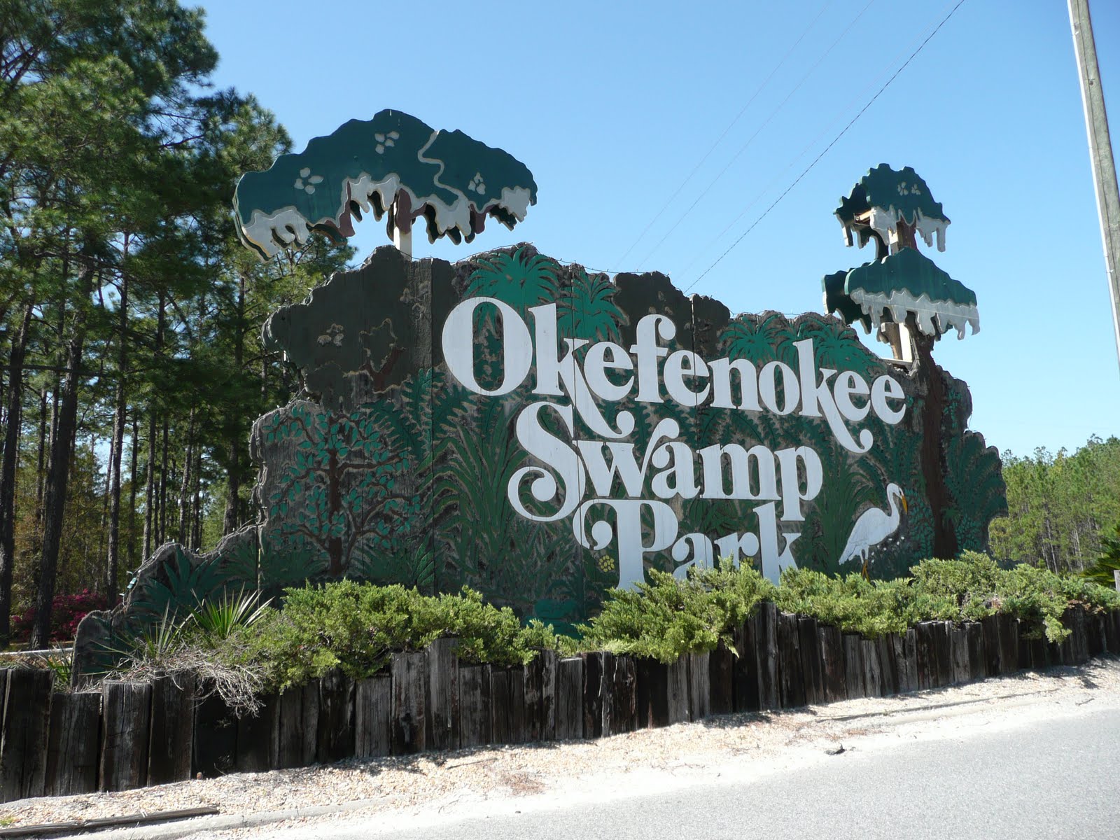 Mannek Photography: The Sites: Okefenokee Swamp