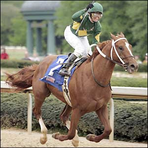 Curlin to Defend Breeders' Cup Title