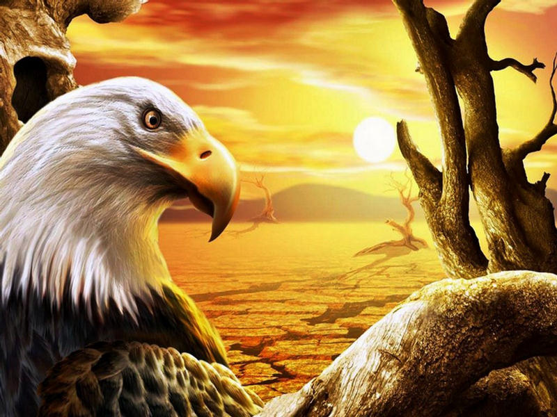 Funtrublog: Awesome 3D Computer Graphics Art HQ Wallpapers