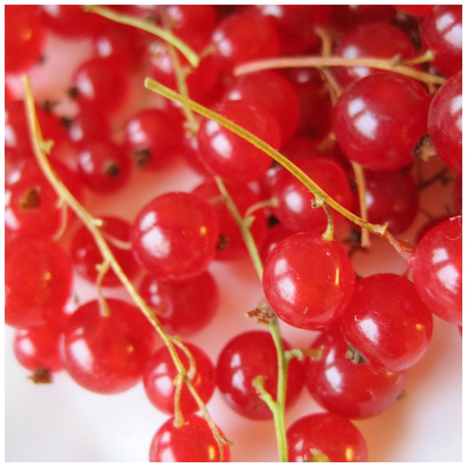 Um Sorteio Especial: Groselhas e Minha Geléia de Groselha