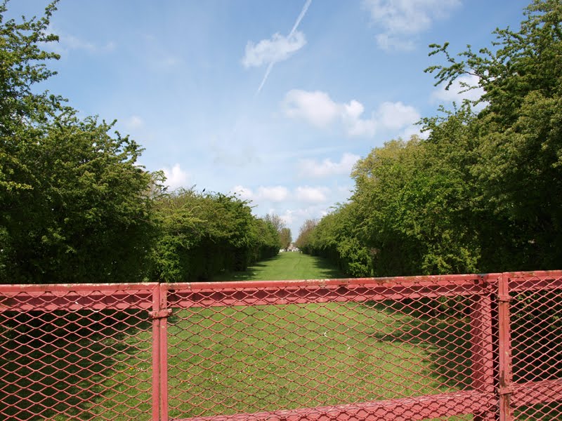 Exploring Bransholme: Green Bransholme