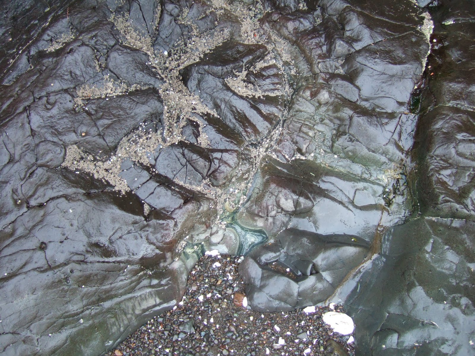 Reading the Washington Landscape: Toandos Bear to Crescent Formation ...