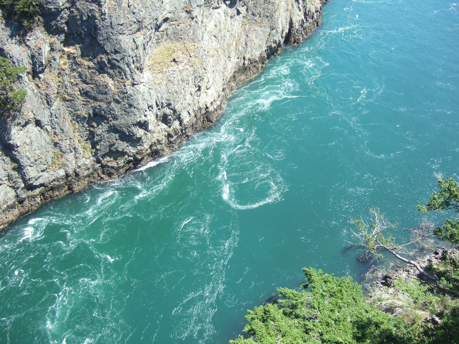 Reading the Washington Landscape: A Stop at Deception Pass