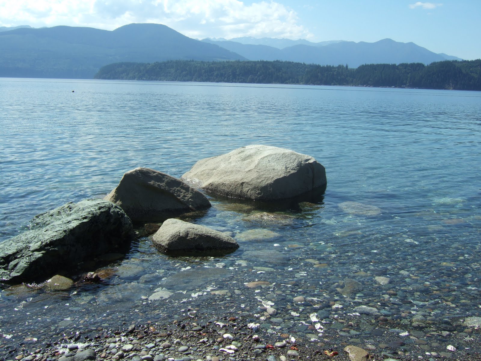 Reading the Washington Landscape: Dabob Bay Swimming