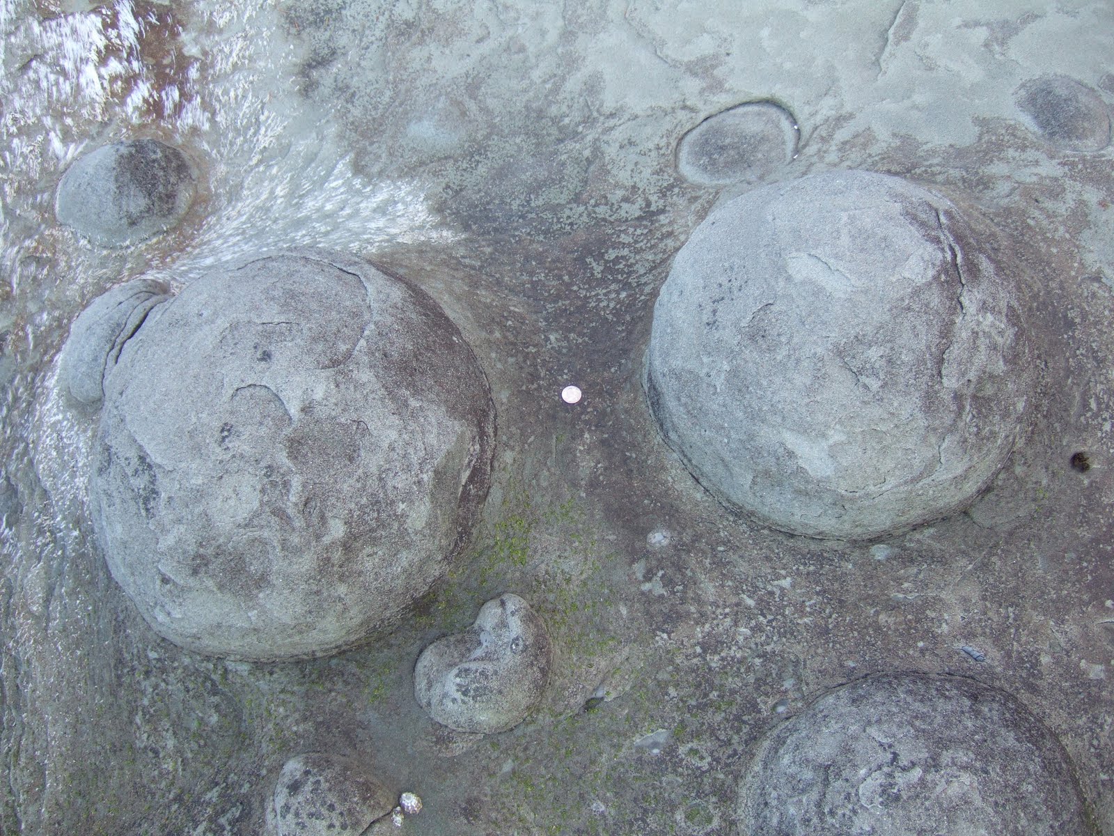 Reading the Washington Landscape: Marrowstone Island Geology Trip to ...