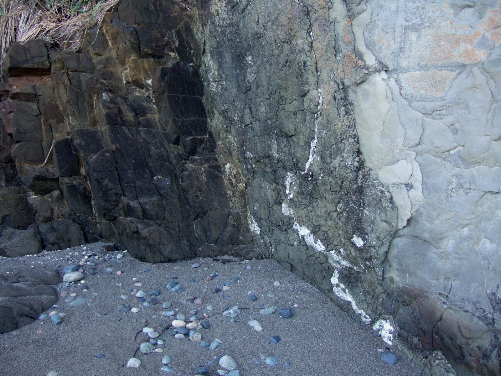 Reading the Washington Landscape: Marrowstone Island Geology Trip to ...