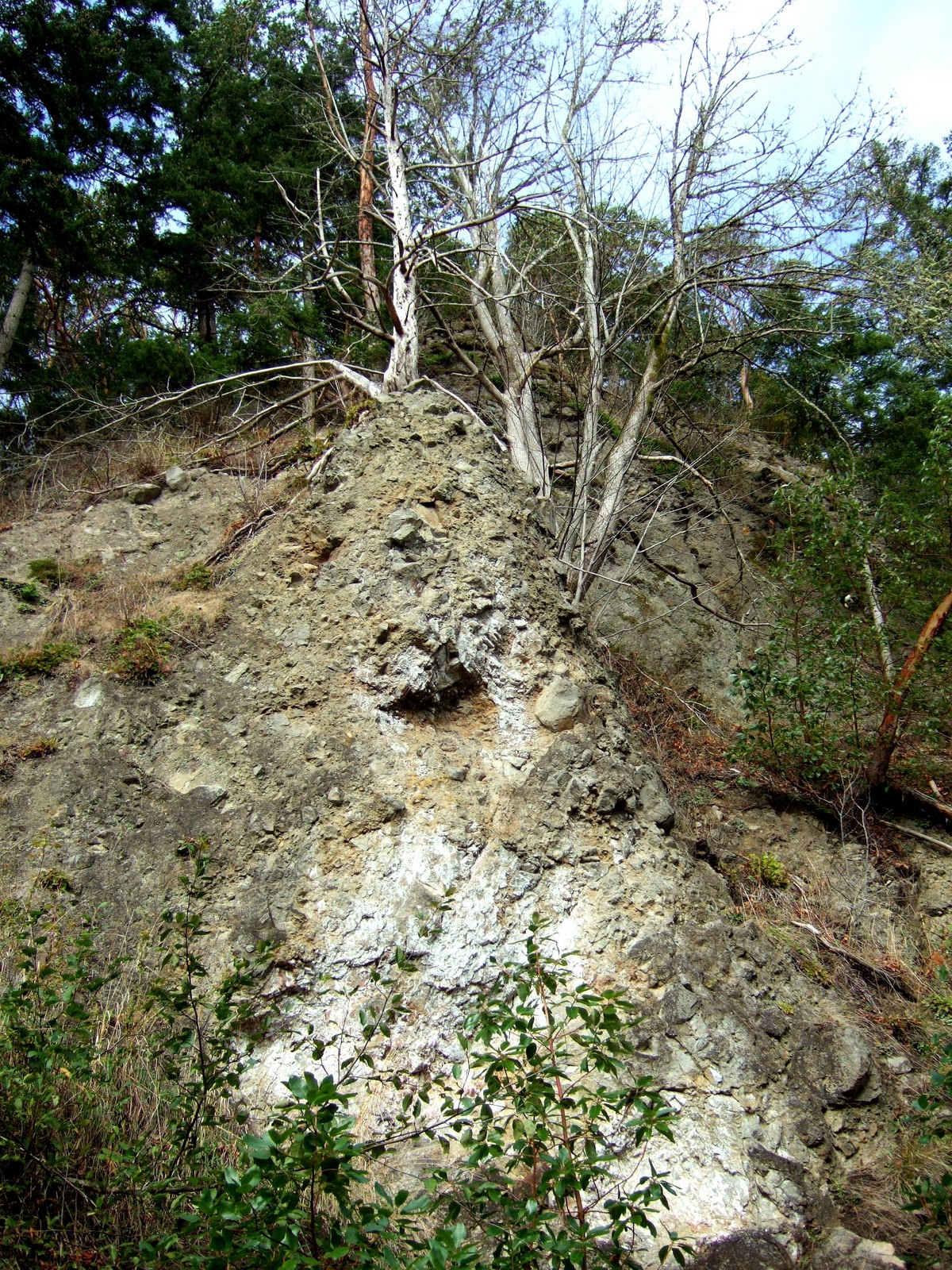 Reading the Washington Landscape: Adakite and Tamanowas Rock (Chimacum ...