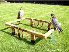 Words, words, words (and phrases): Cadge