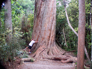 The Nobles in New Zealand: WAKA