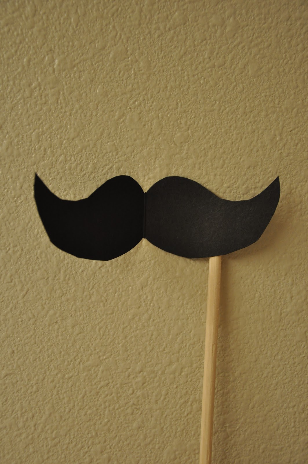 Just call me Ryanne: DIY: Santa Beard on a Stick