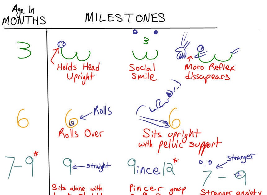 Mike's High Yield Blog for the USMLE Step 1: Developmental Milestones ...