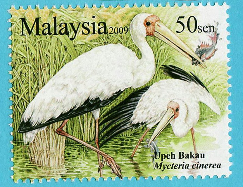 Setem Stamp: Carta Setem Malaysia Tahun 2009