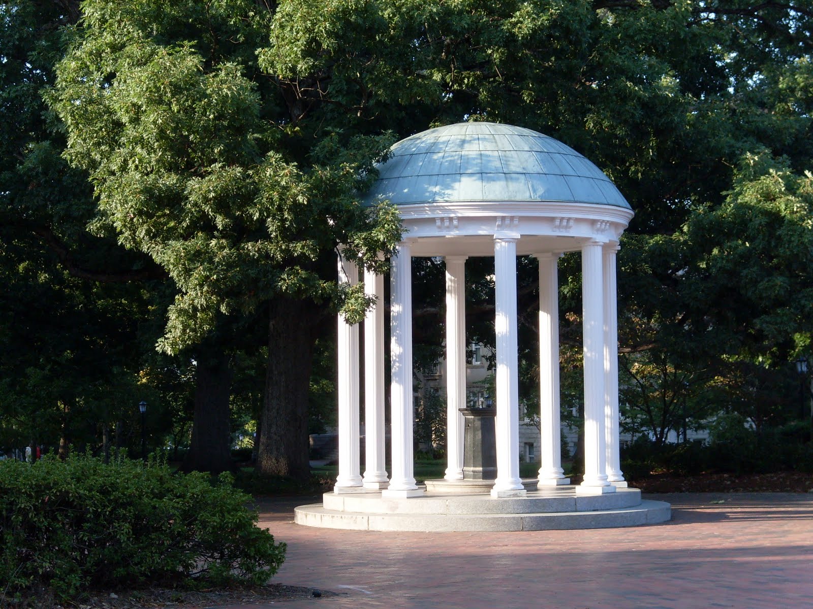 Annemarie at UNC Chapel Hill