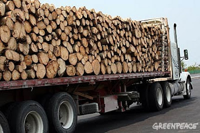 ECOLOGIA: TALA INMODERADA