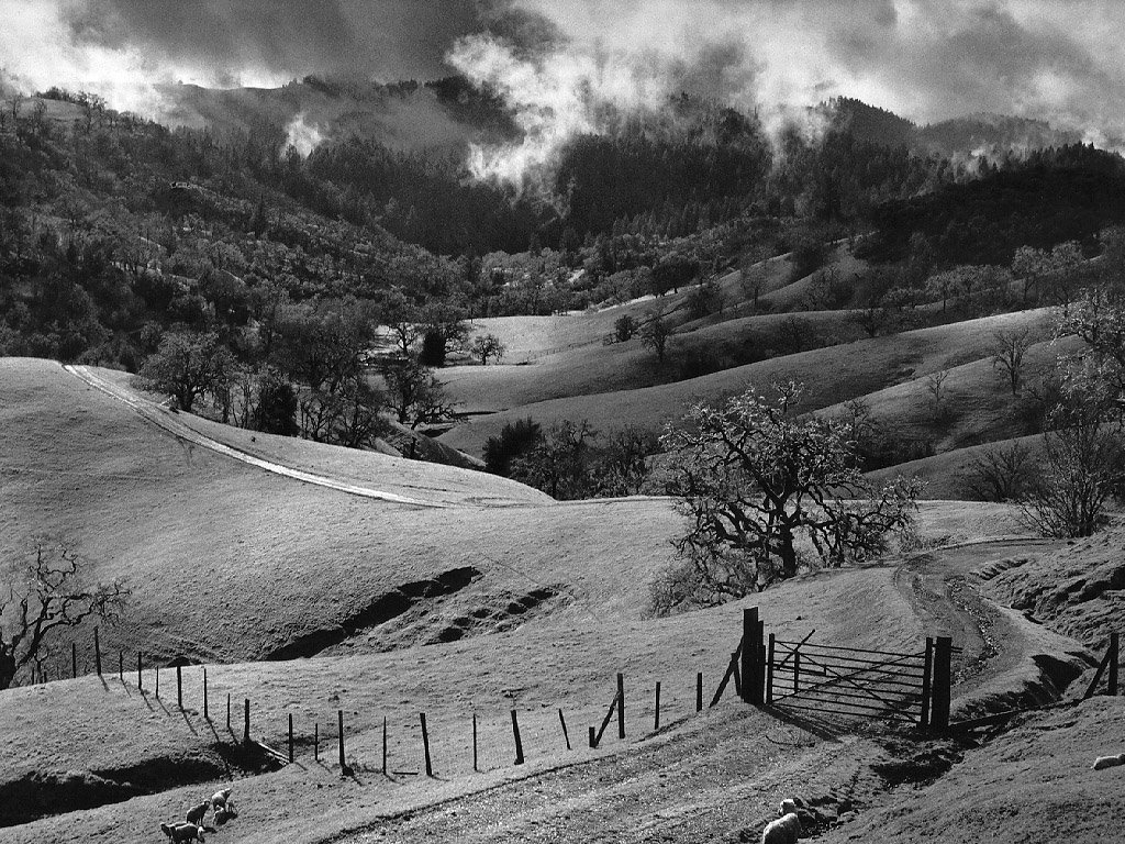 through the lens: Photography: Artistic Storytelling