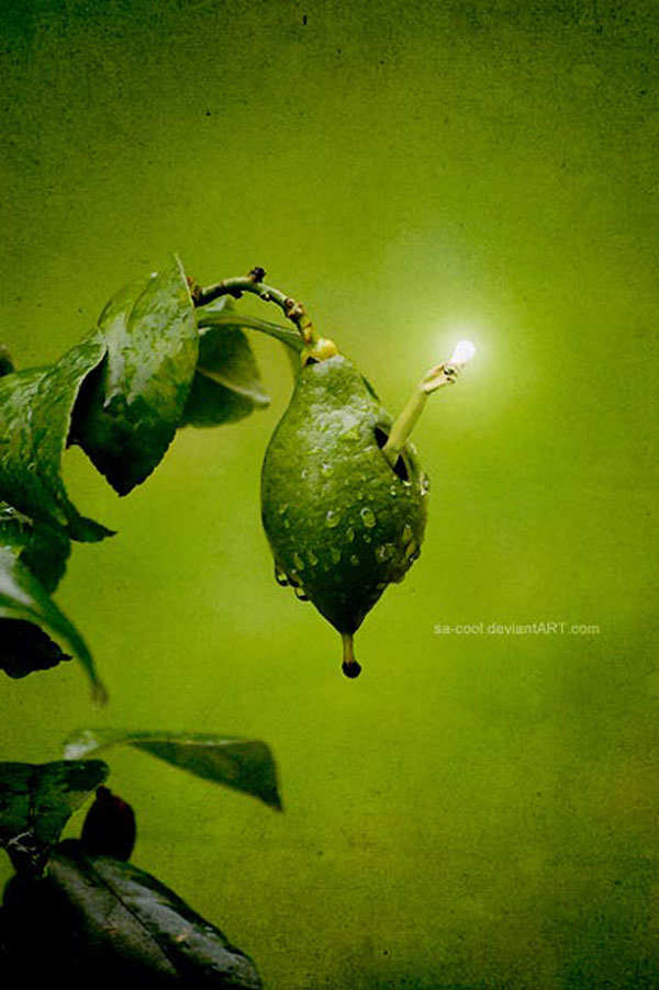 Amazing Creative Photos