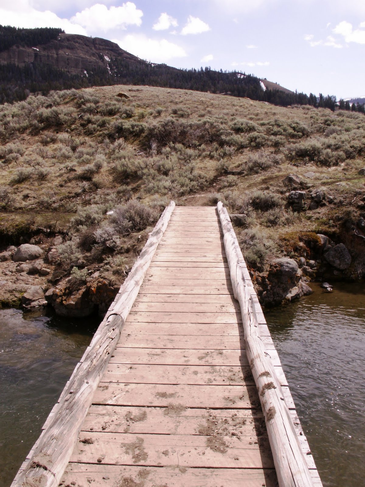 Lamar River Trail (Yellowstone National Park)