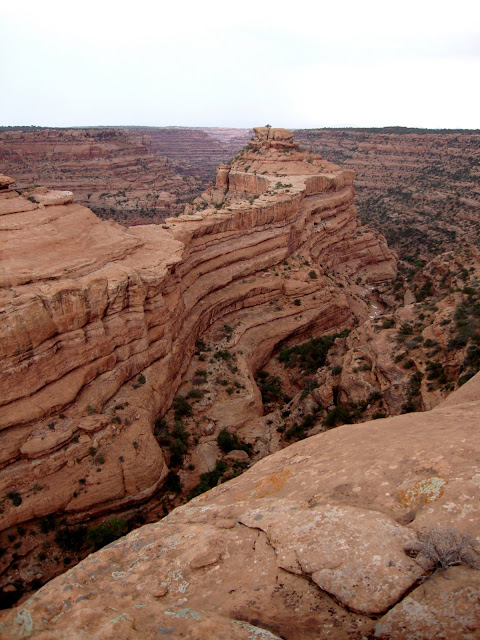 BEARS EARS: CITADEL RUINS