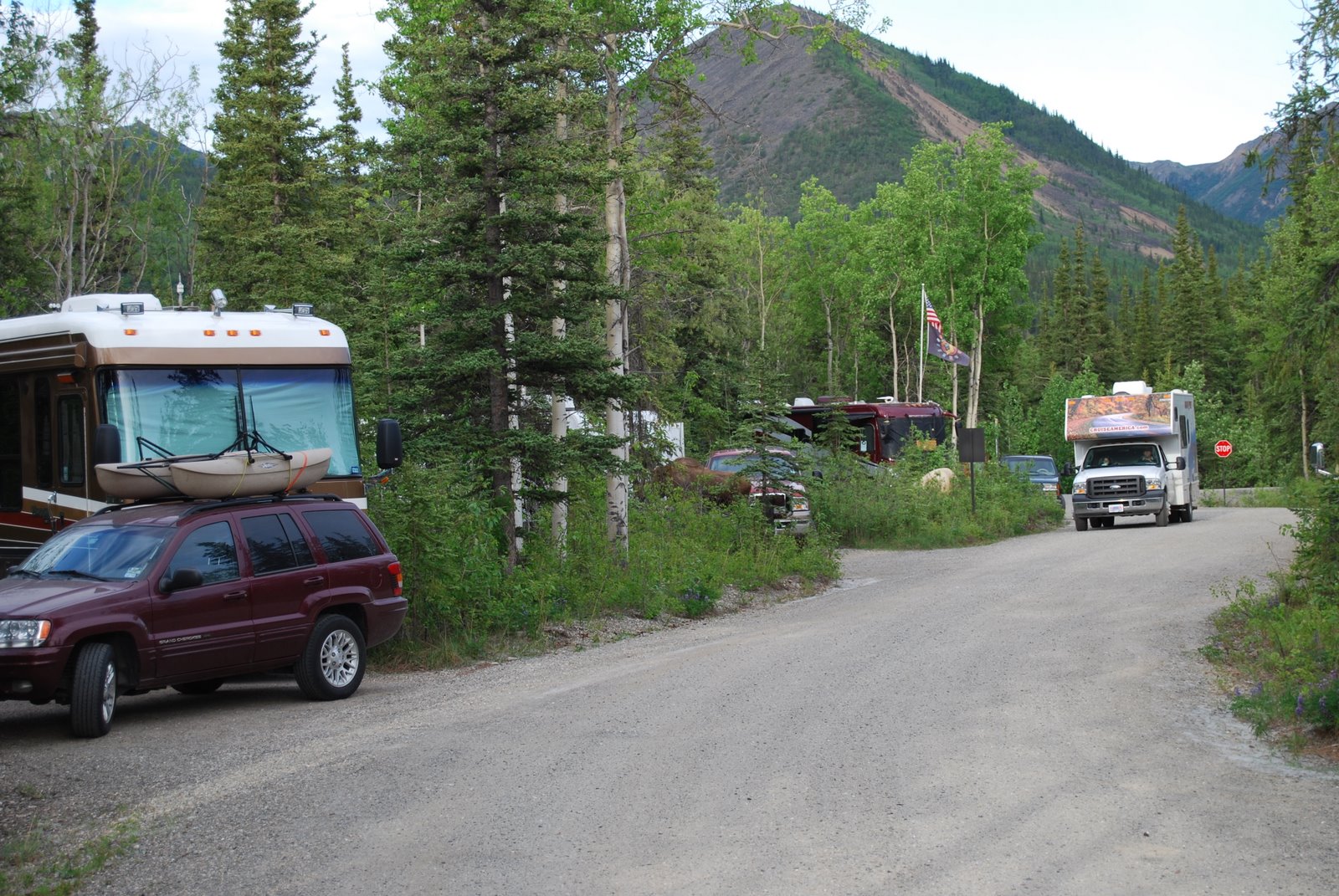 Brown Travels: Riley Creek Campground Denali