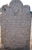 Vast Public Indifference: November 2008