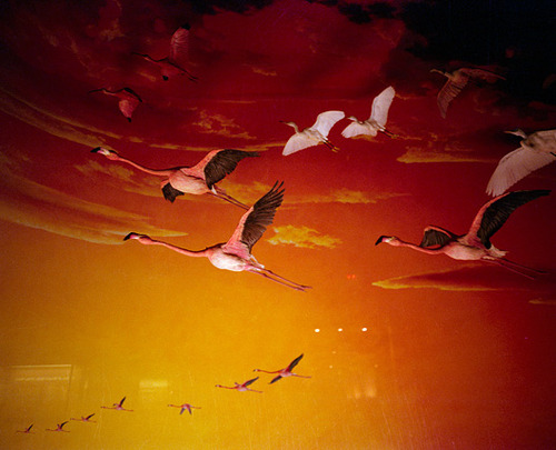 R E N D A A N رِ ن د آ ن: Sheida Mohammadi